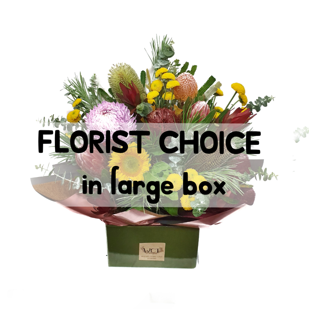 Shop - Wauchope Colonial Florist
